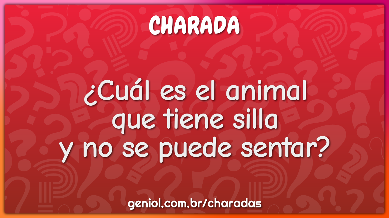 ¿Cuál es el animal que tiene silla y no se puede sentar? - Charada e ...