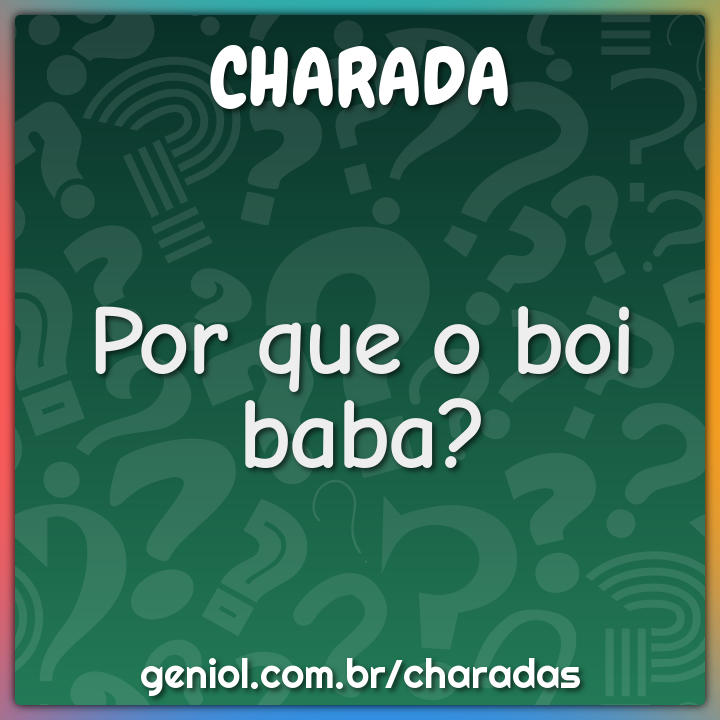 Por que o boi baba? - Charada e Resposta - Geniol